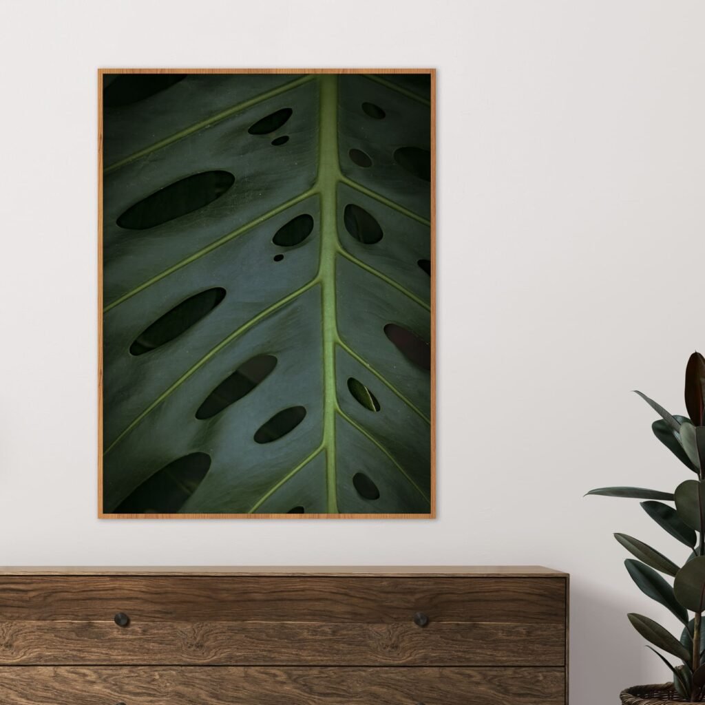 Quadro – Sofia Monzani – Monstera Deliciosa I – Di Quadri