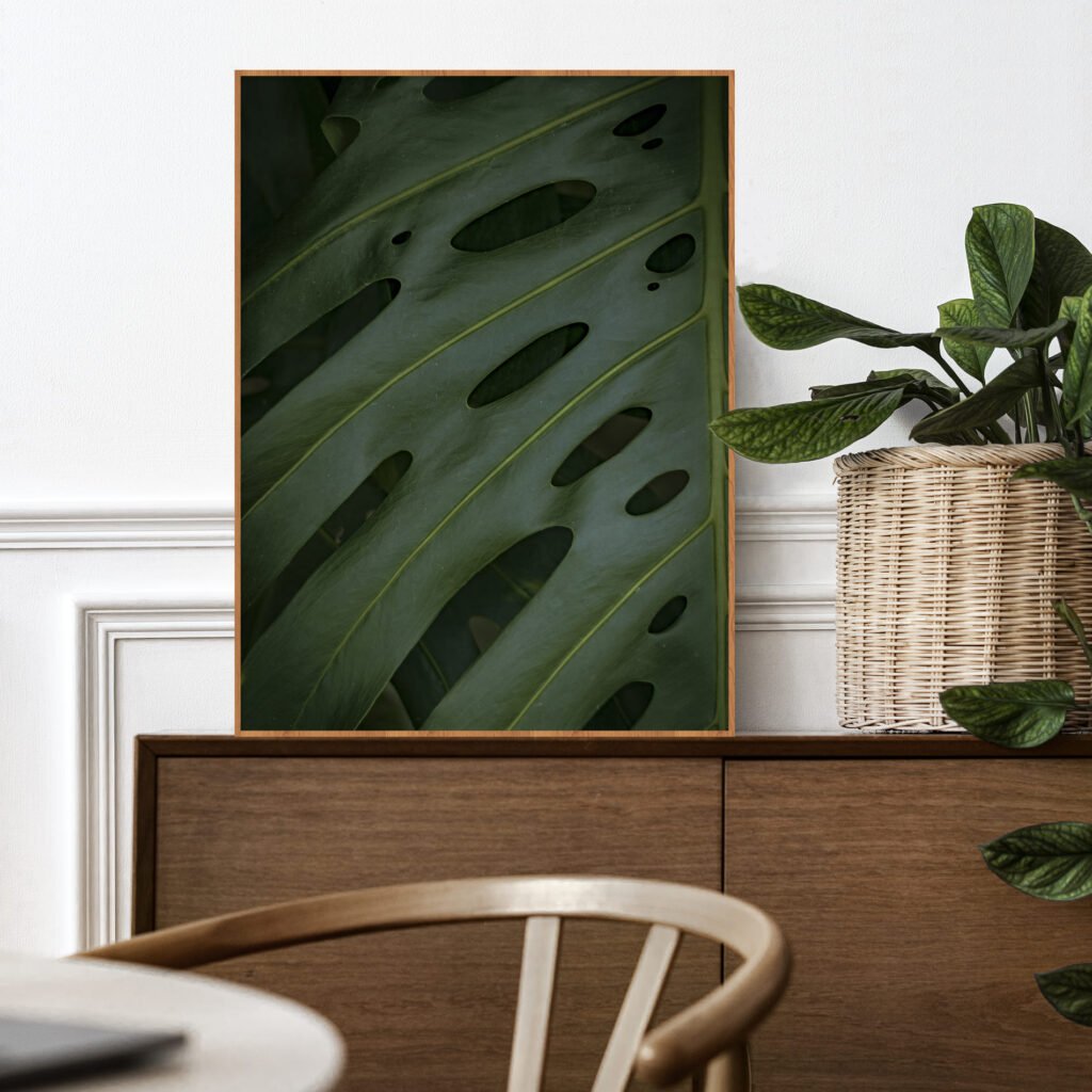 Quadro – Sofia Monzani – Monstera Deliciosa II – Di Quadri